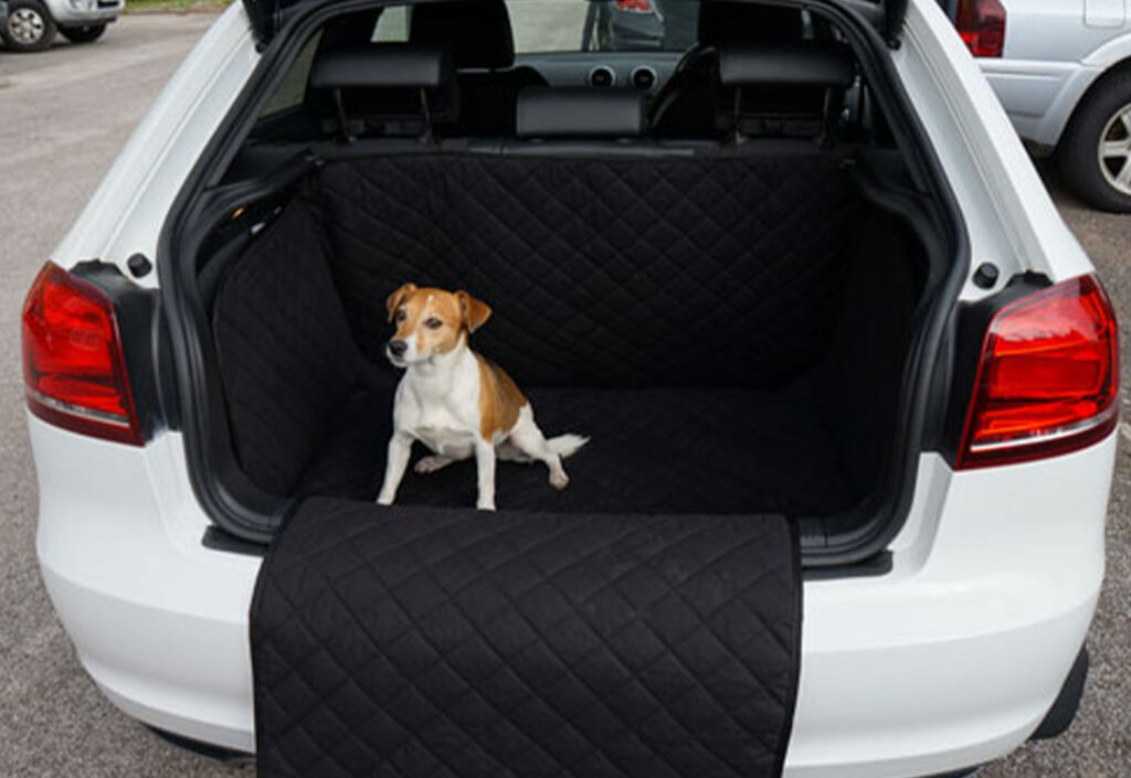Car Boot Liner Maintenance Guide: How to Clean & Make Your Boot Liner ...